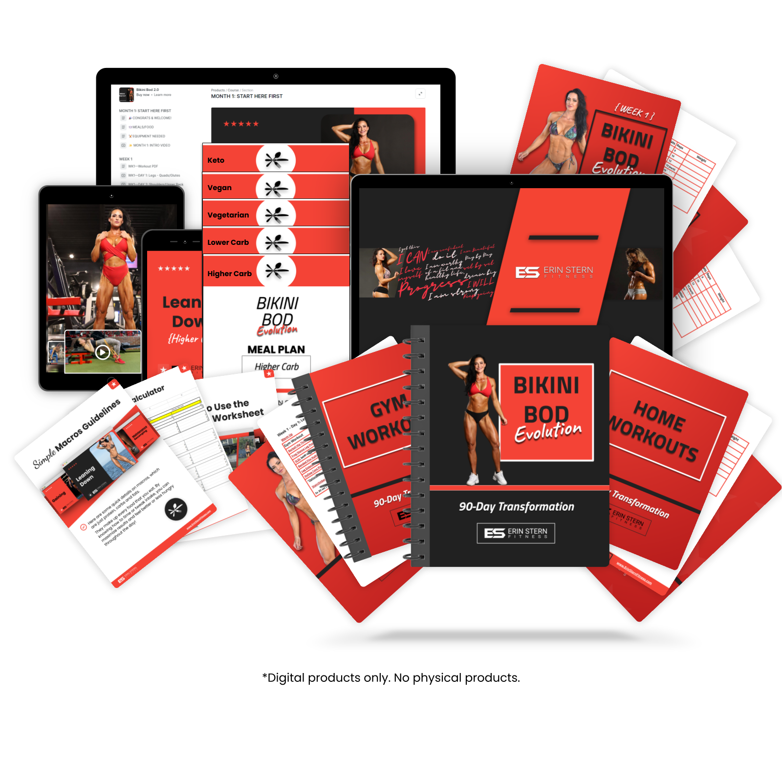 Bikini Bod Evolution Workout Program by Erin Stern Fitness