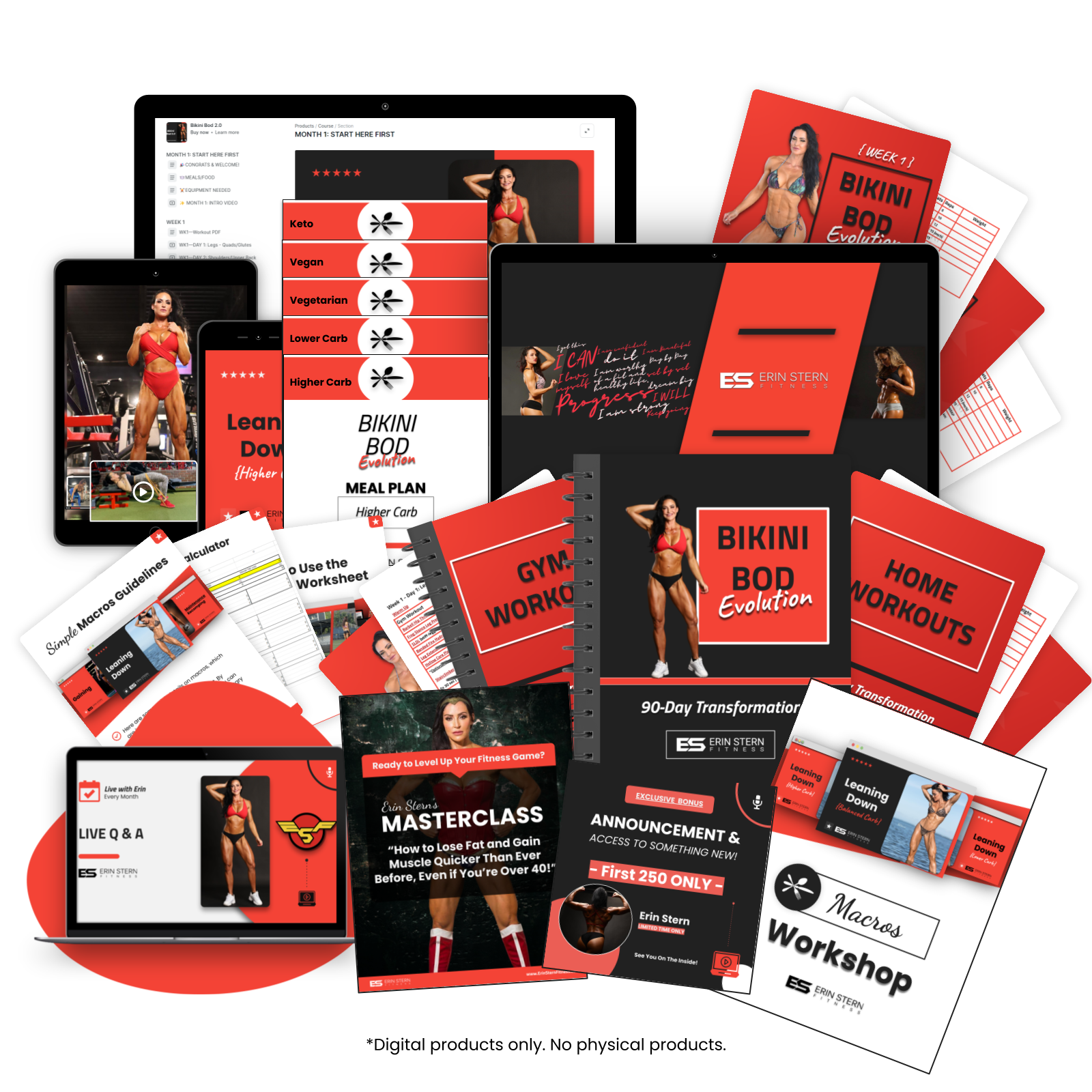 Bikini Bod Evolution Workout Program by Erin Stern Fitness